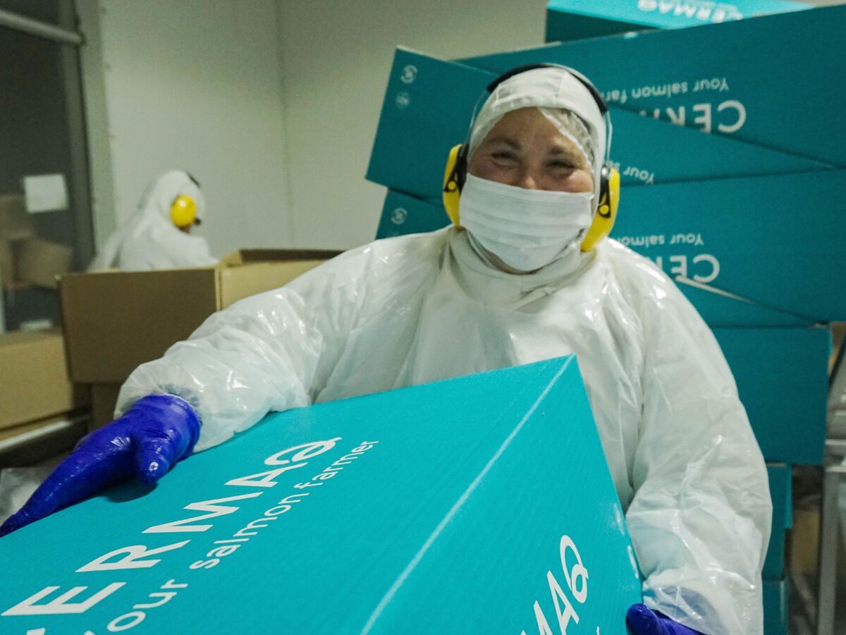 Nuestro equipo - Cermaq Chile